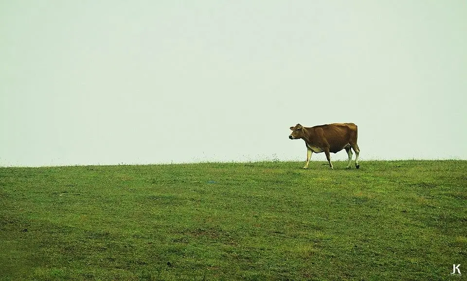 Vagamon mottakunnu - Jyothi kumar photography - Kottayam
