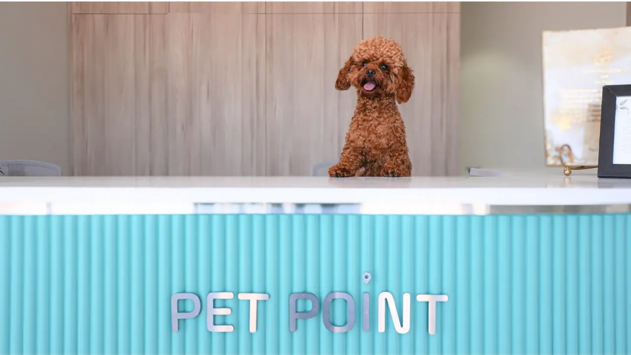 Pet Point Veterinary Clinic - Veterinary Hospital, Pet Care Shops in ...